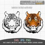 Tiger Face SVG – Design#2 Cut Files in Black and in Color – Origin SVG Art