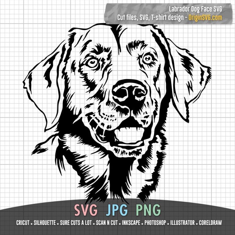 Labrador Dog Face SVG 2 in 1 in Black and 2 Colors – Origin SVG Art